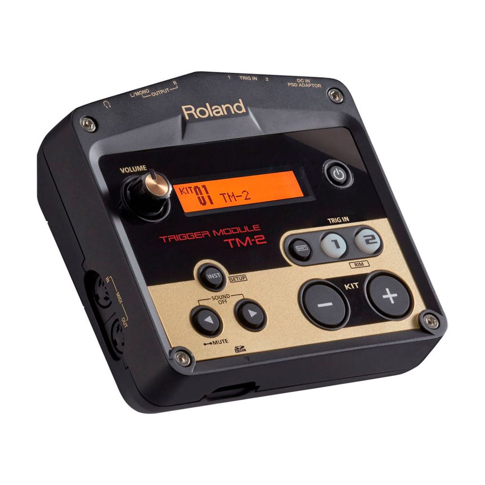 Roland TM-2 | Módulo de som - serenata